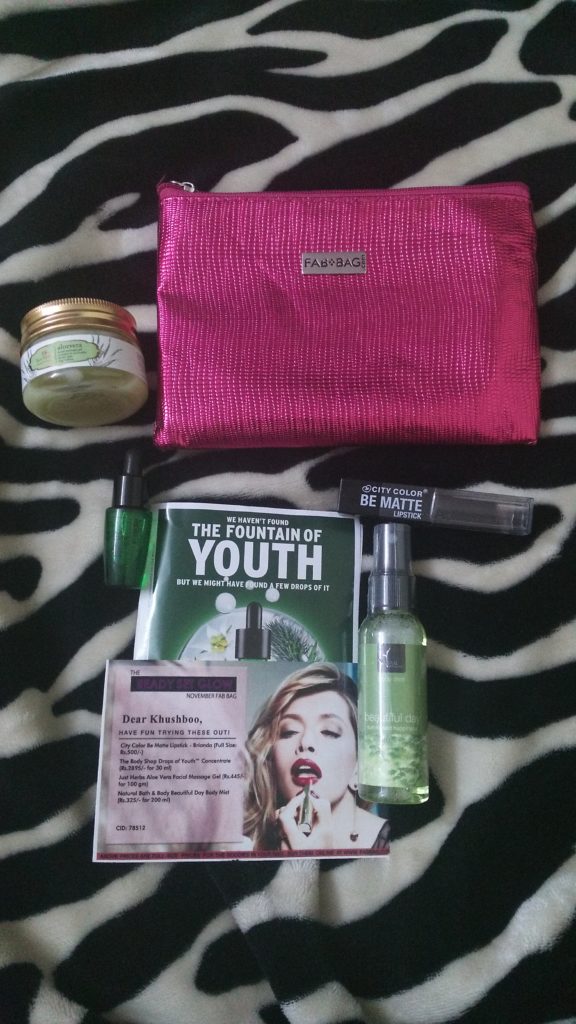 Fab Bag November 2016 Review - makeupadda